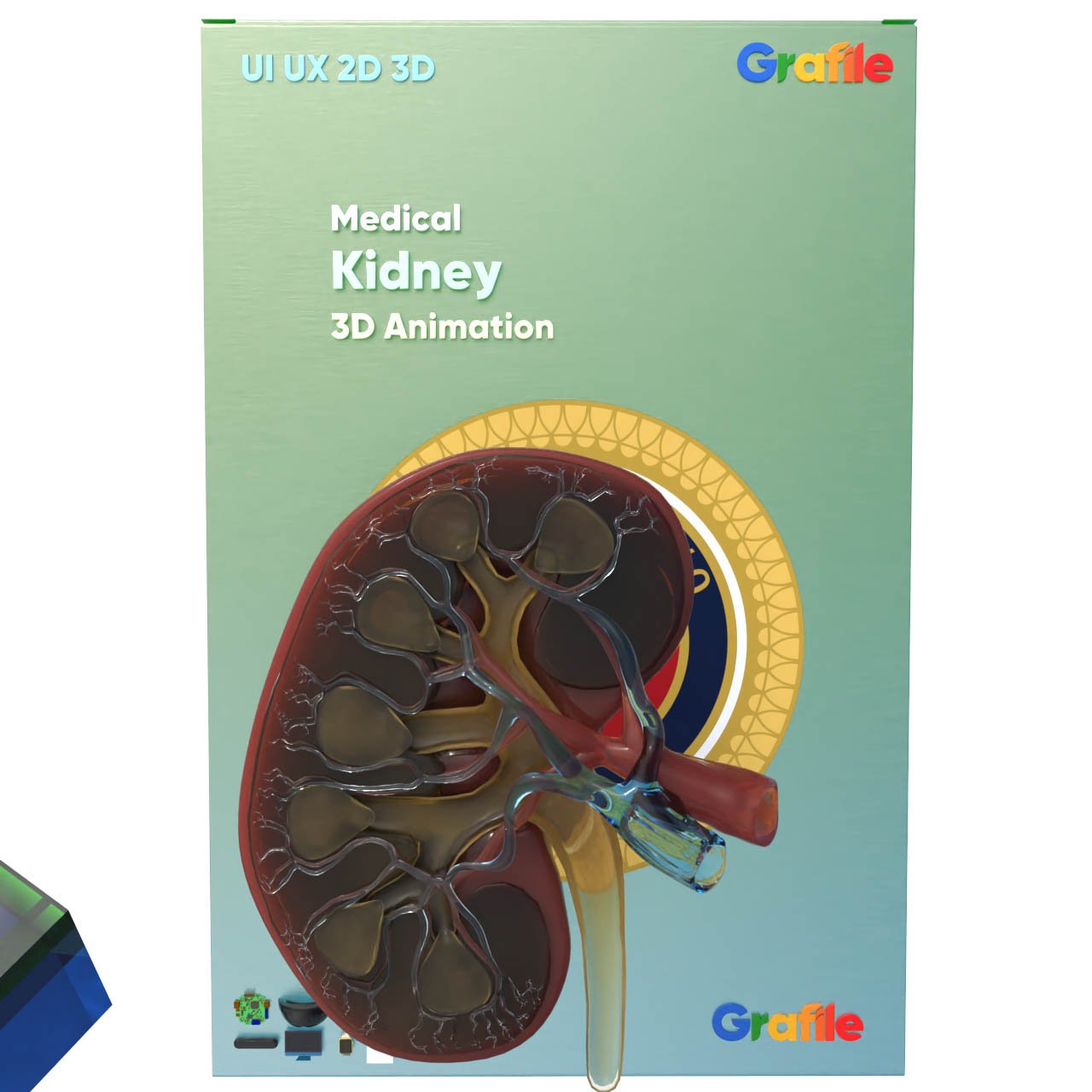 MV Kidney Medical Excretory 3D Animation - 2D 3D Resources