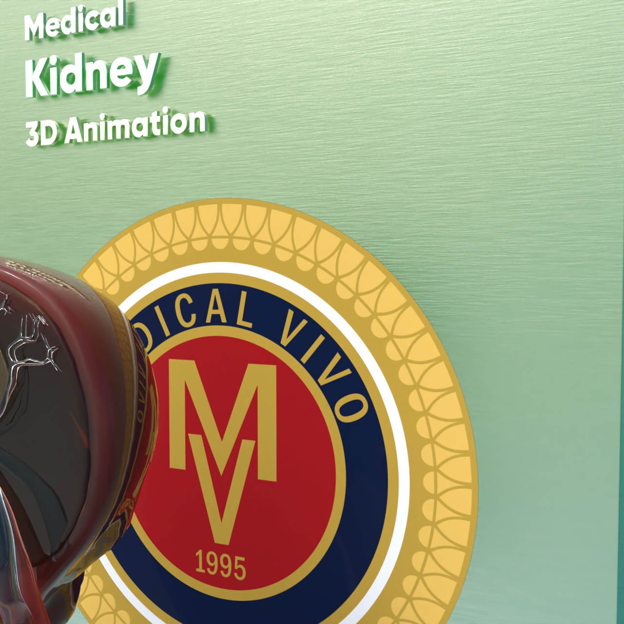 MV Kidney Medical Excretory 3D Animation - 2D 3D Resources