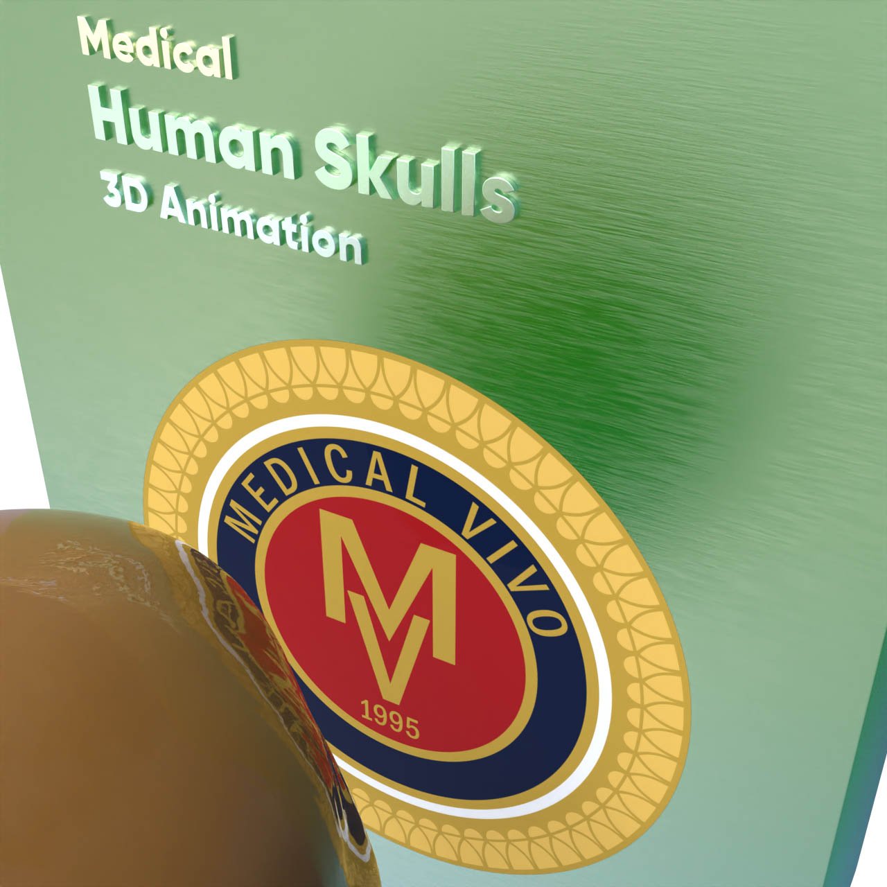 MV Human Skulls Medical Skeletal 3D Animation - 2D 3D Resources