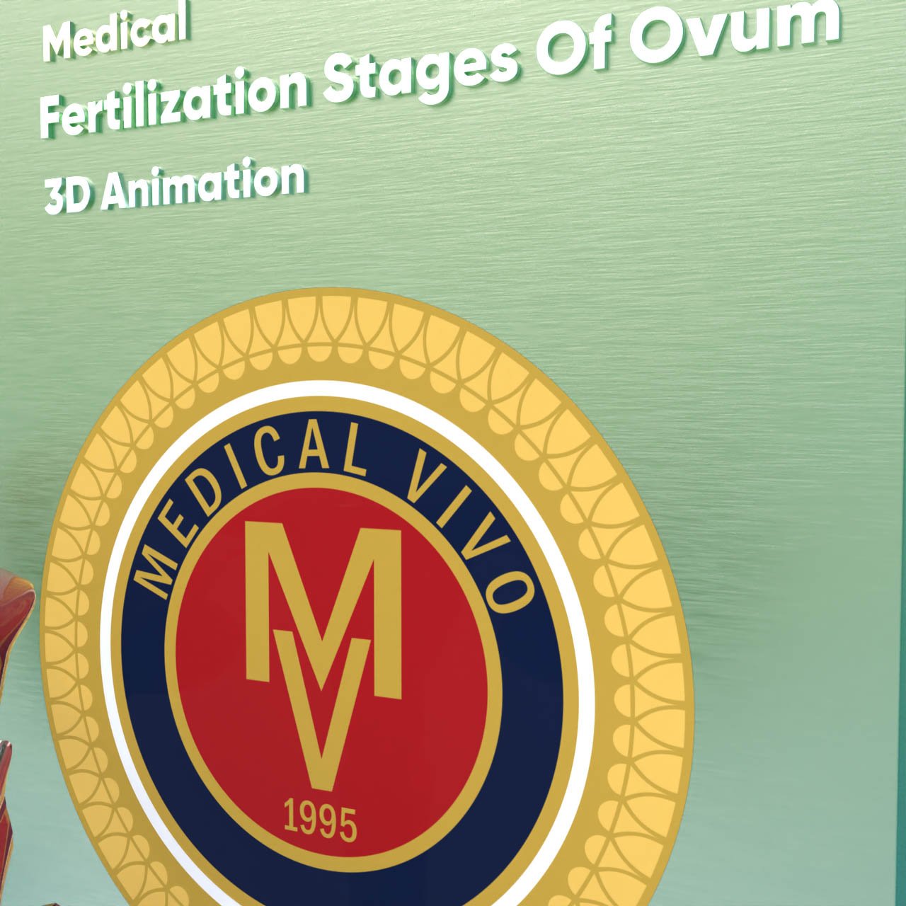 MV Fertilization Stages Of Ovum Medical Reproductive 3D Animation - 2D ...