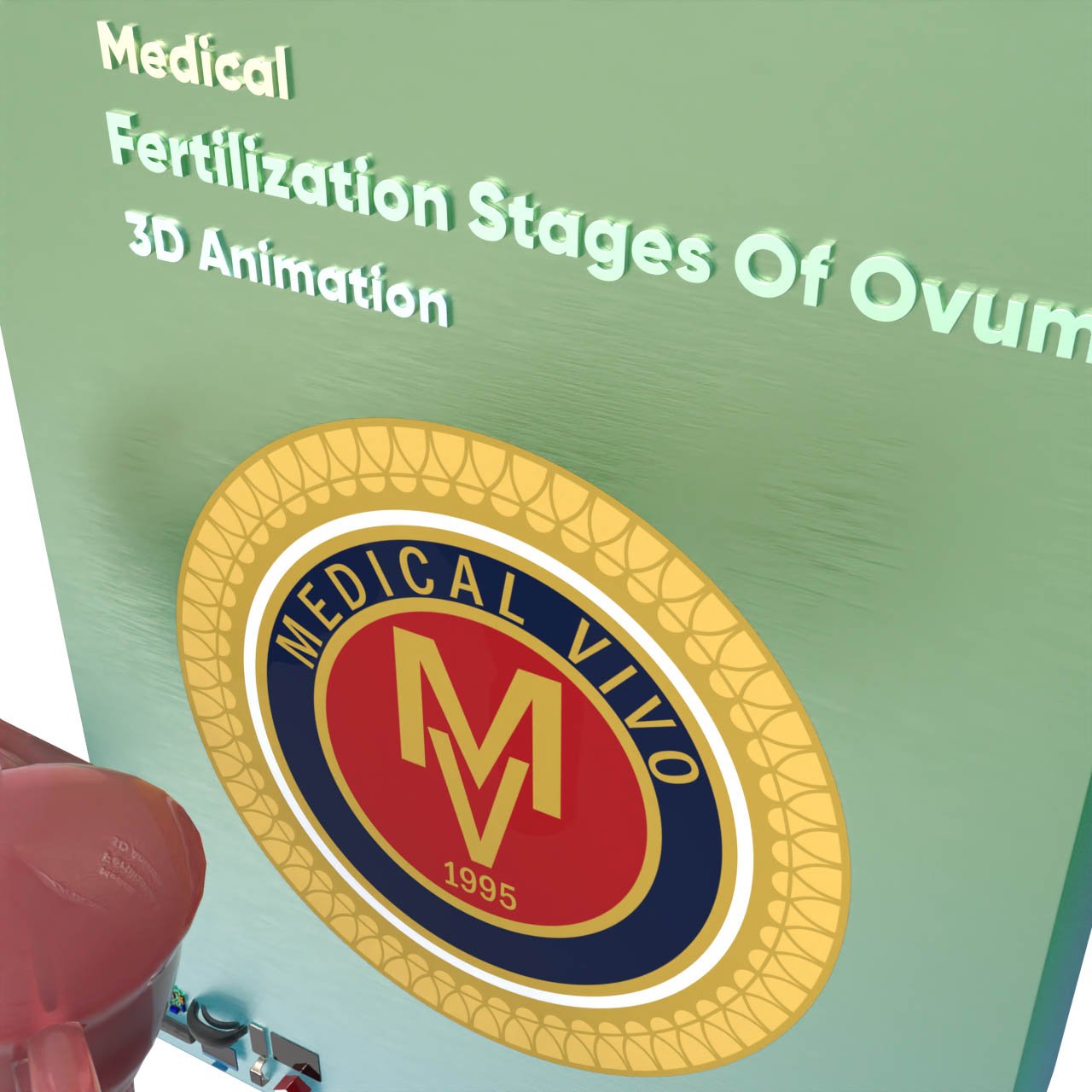 MV Fertilization Stages Of Ovum Medical Reproductive 3D Animation - 2D ...