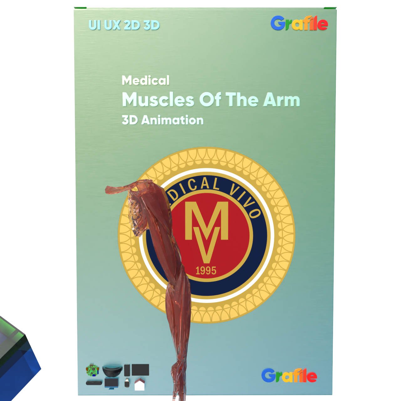 MV Muscles Of The Arm Medical Muscular 3D Animation - 2D 3D Resources