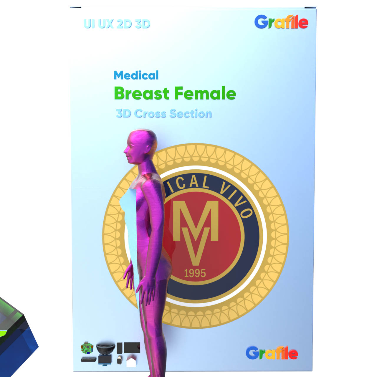 MV Breast Female Medical Anatomy 3D Cross Section - 2D 3D Resources