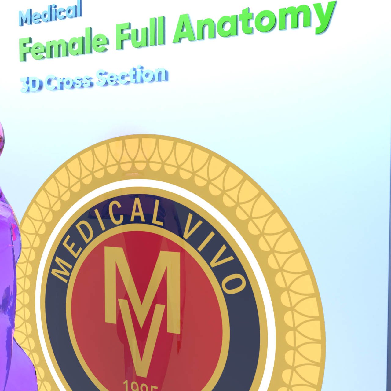 MV Female Full Anatomy Medical Anatomy 3D Cross Section - 2D 3D Resources