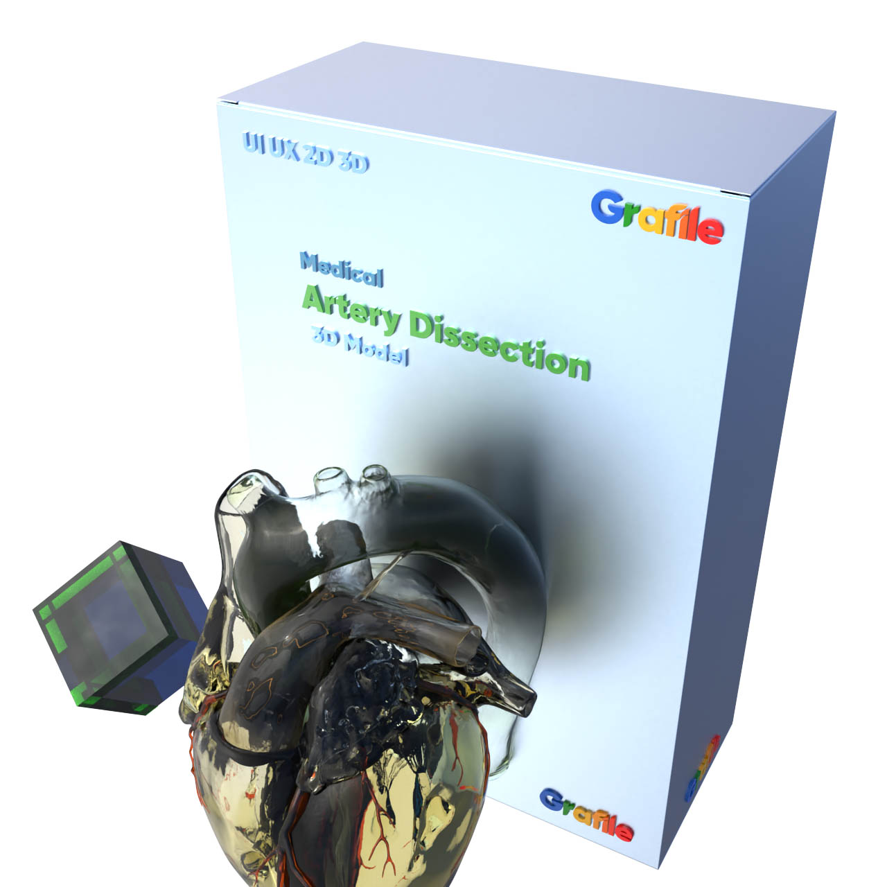 MV Artery Dissection Medical Cardiovascular 3D Model - 2D 3D Resources